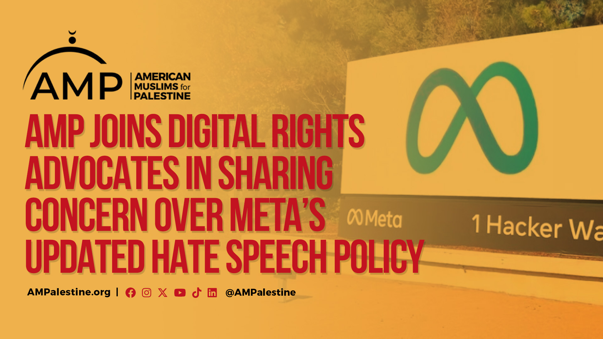 AMP | American Muslims for Palestine