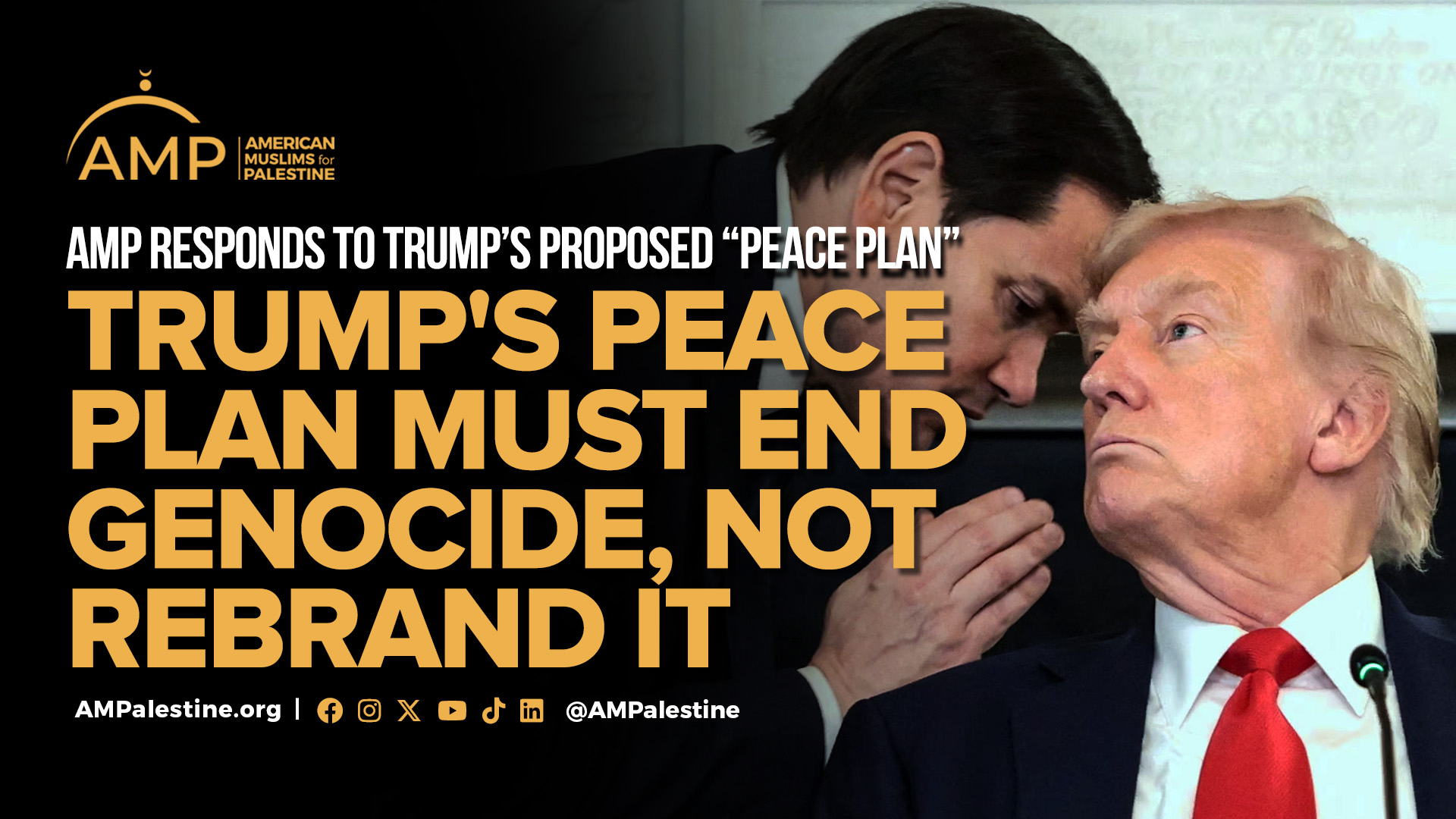 AMP | American Muslims for Palestine