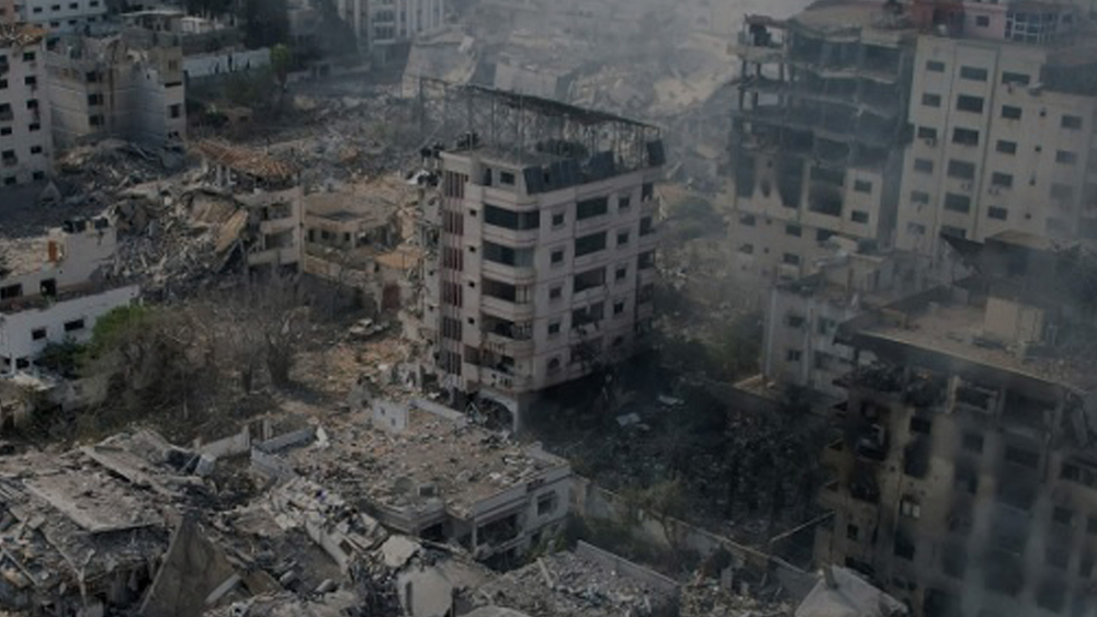 AMP | American Muslims for Palestine