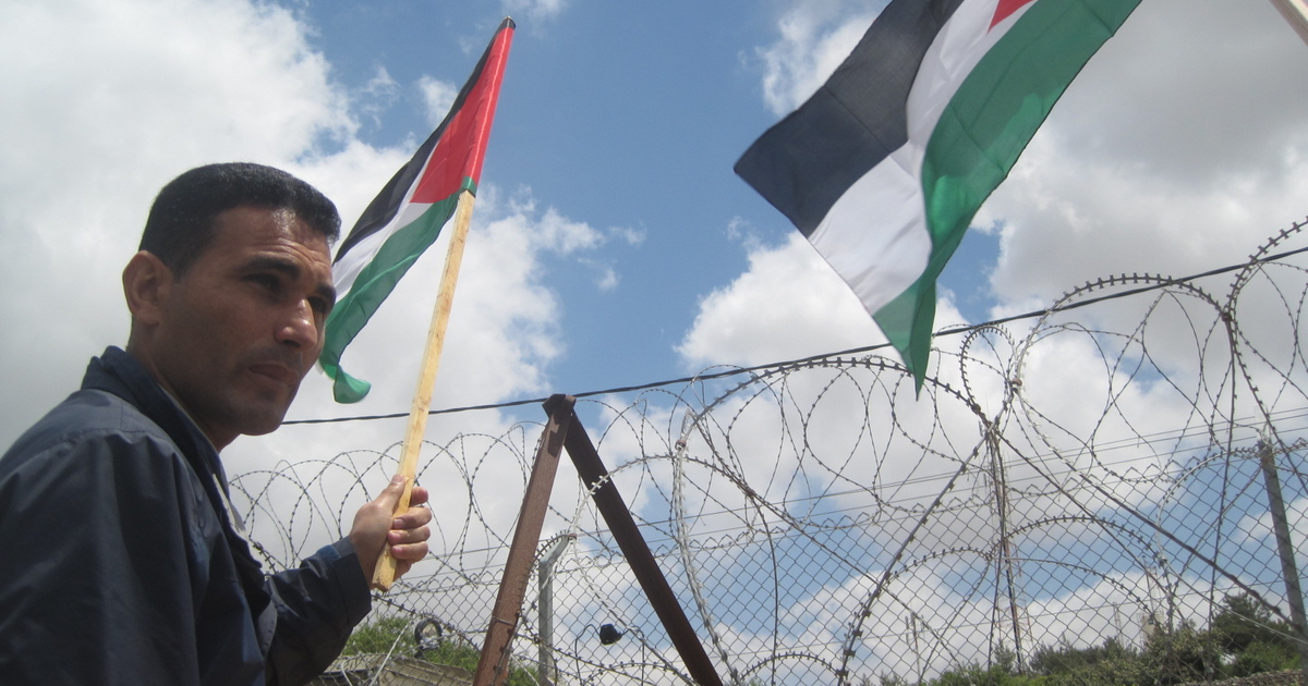 Commemorating 53 years since Al Naksa | AMP