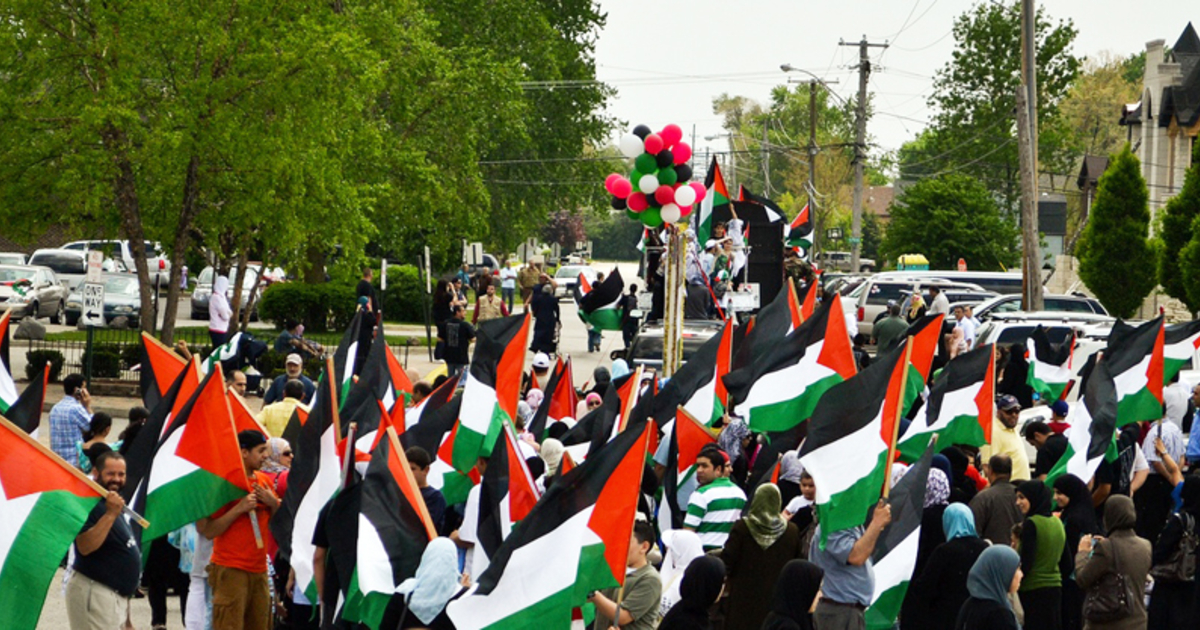 Help AMP bring Palestine to the American public | AMP